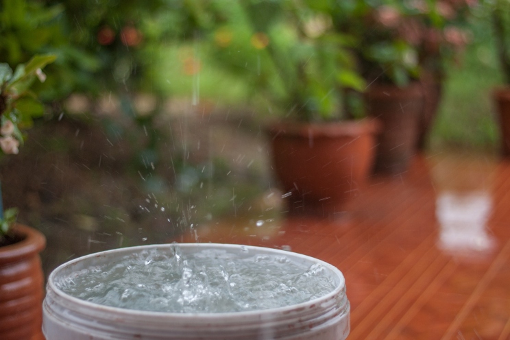 Consejos prácticos para recolectar agua de lluvia