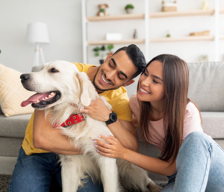 » Normativa perros en comunidades de vecinos