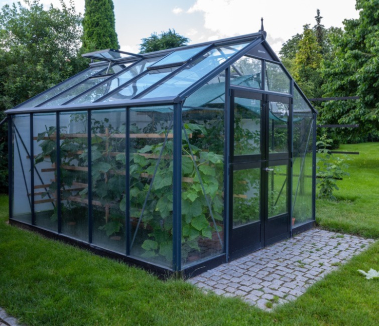 Diseña y crea un jardín botánico en casa